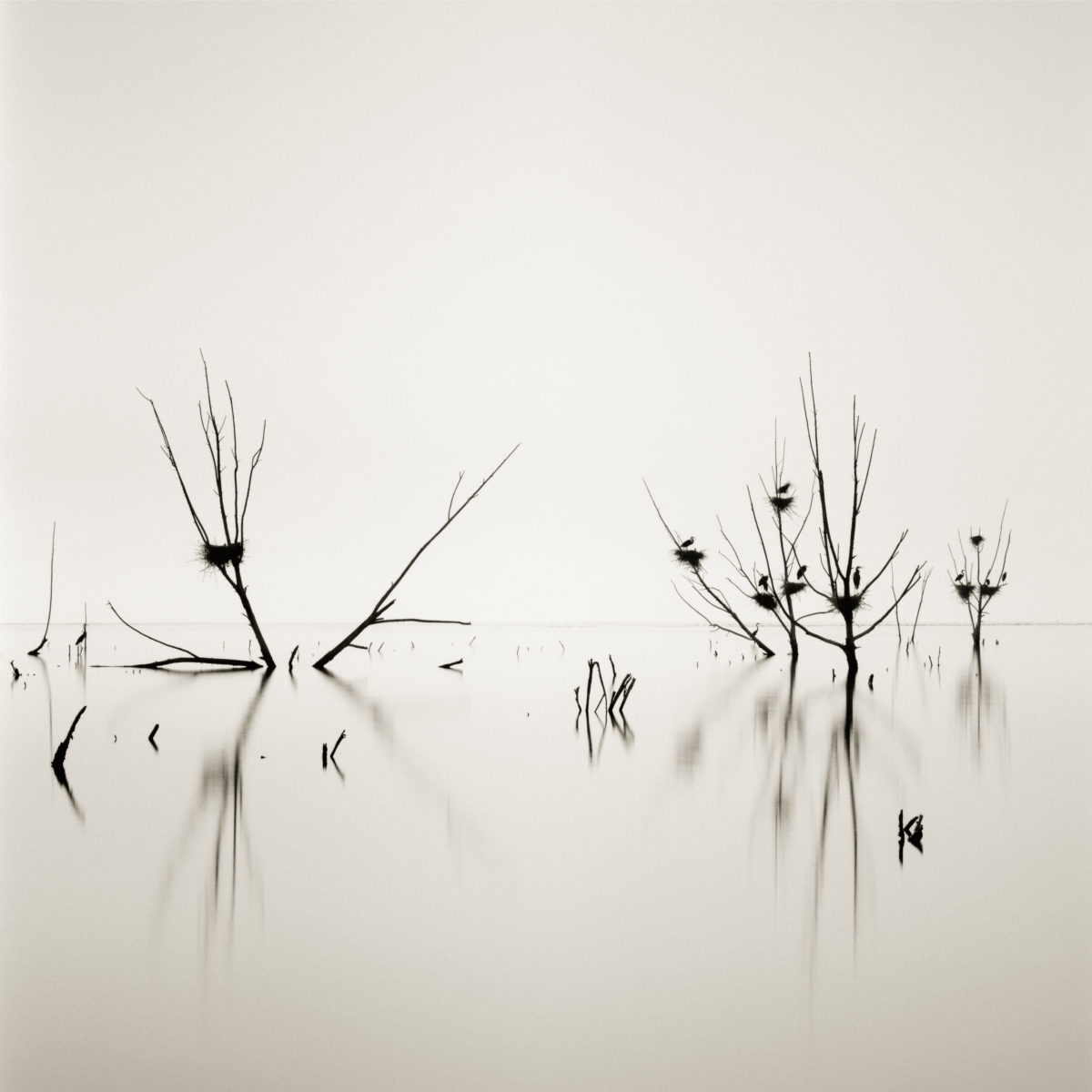 Earth – Christopher Broughton